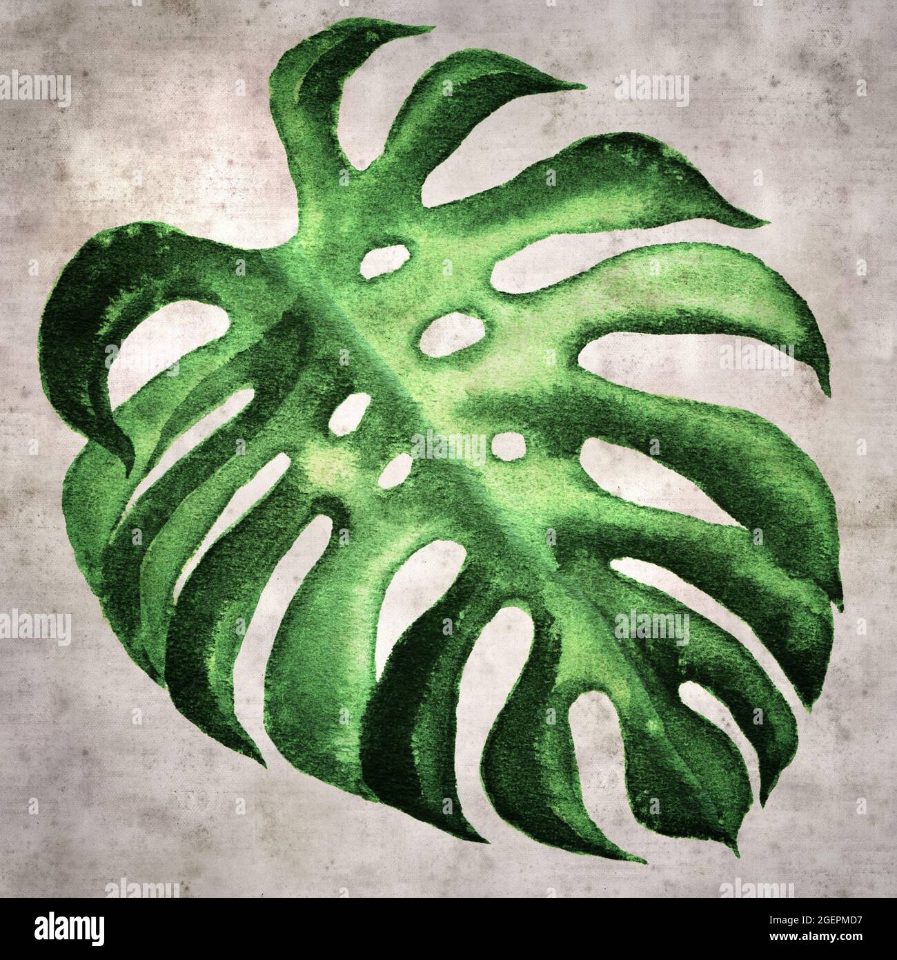 stylish textured old paper background with watercolor monstera leaf ...