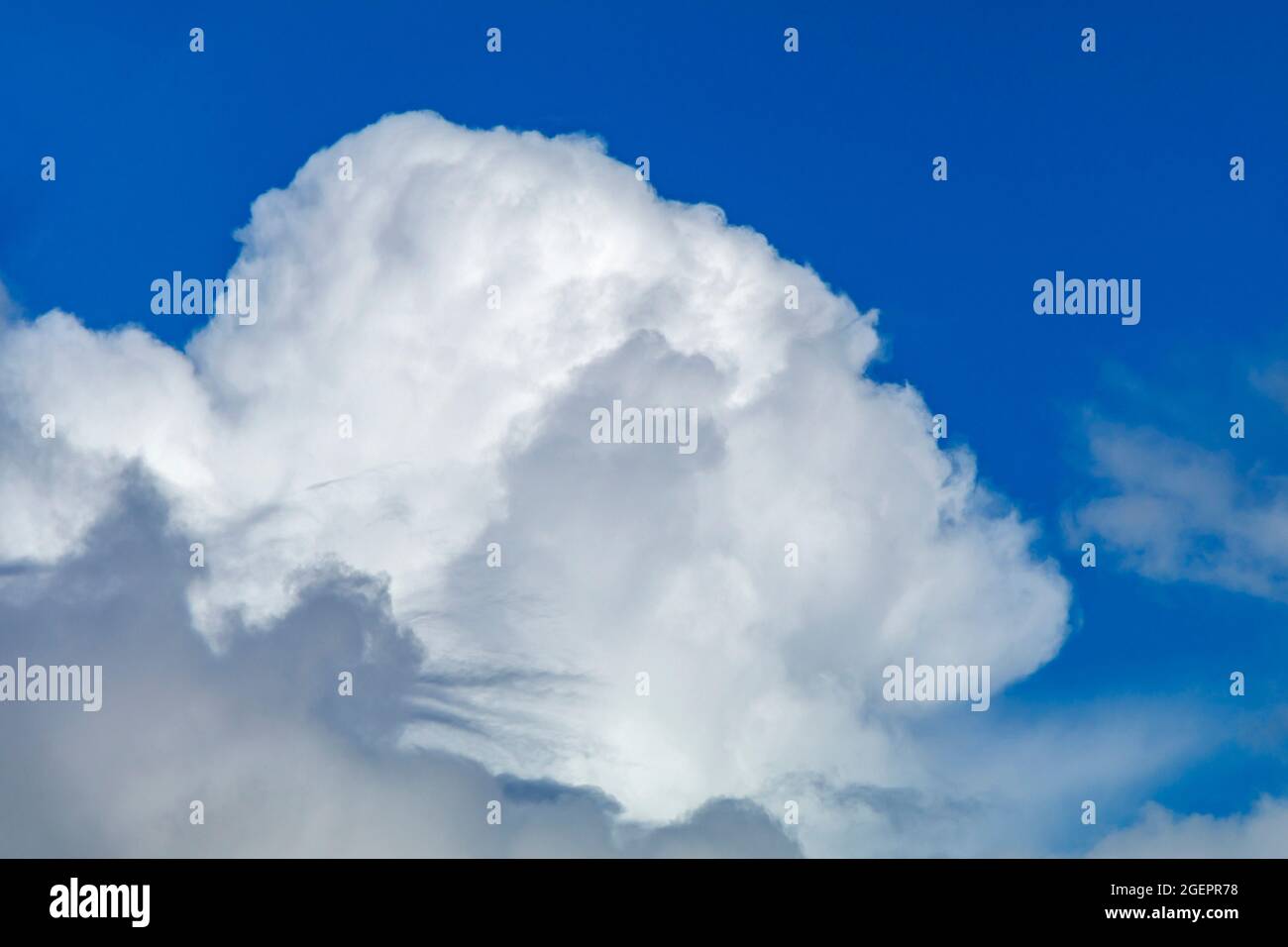 Puffy cumulus cloud Stock Photo - Alamy