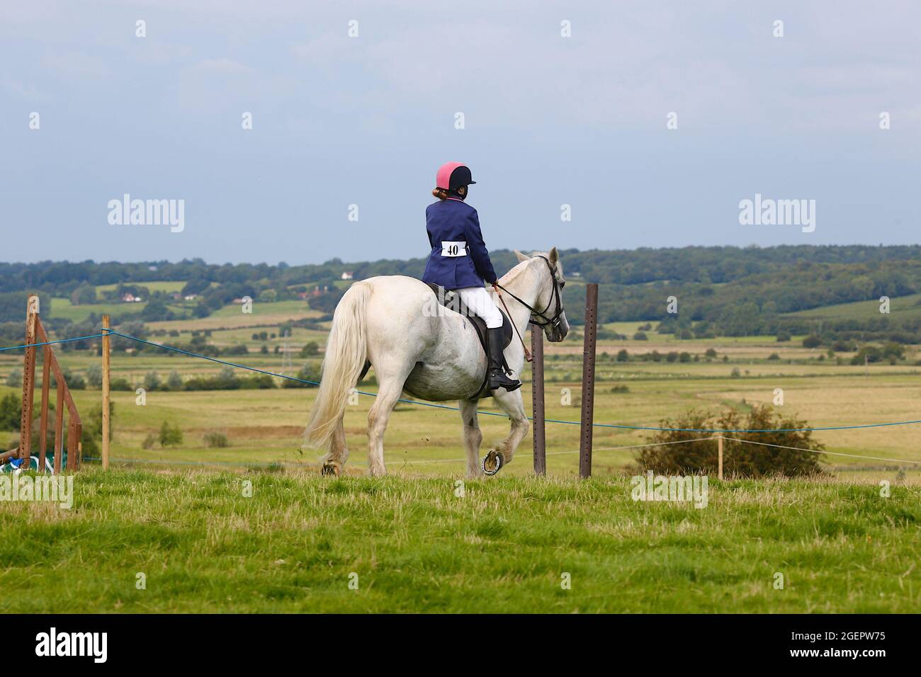 Horses family photo hi-res stock photography and images - Alamy