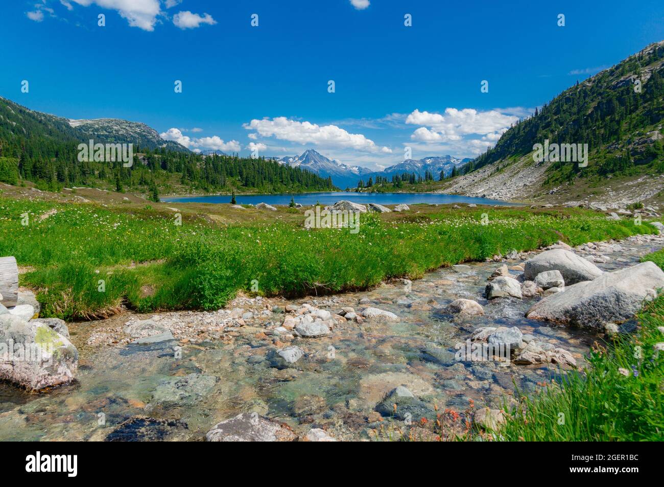 Mesmerizing view of a lake among mountains and trees Stock Photo - Alamy
