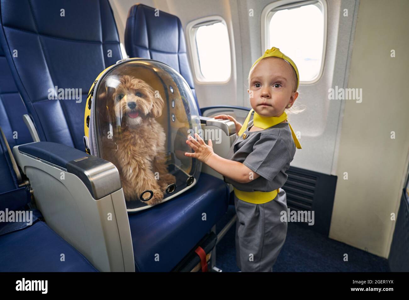 Cute young passenger and her dog aboard the aircraft Stock Photo - Alamy