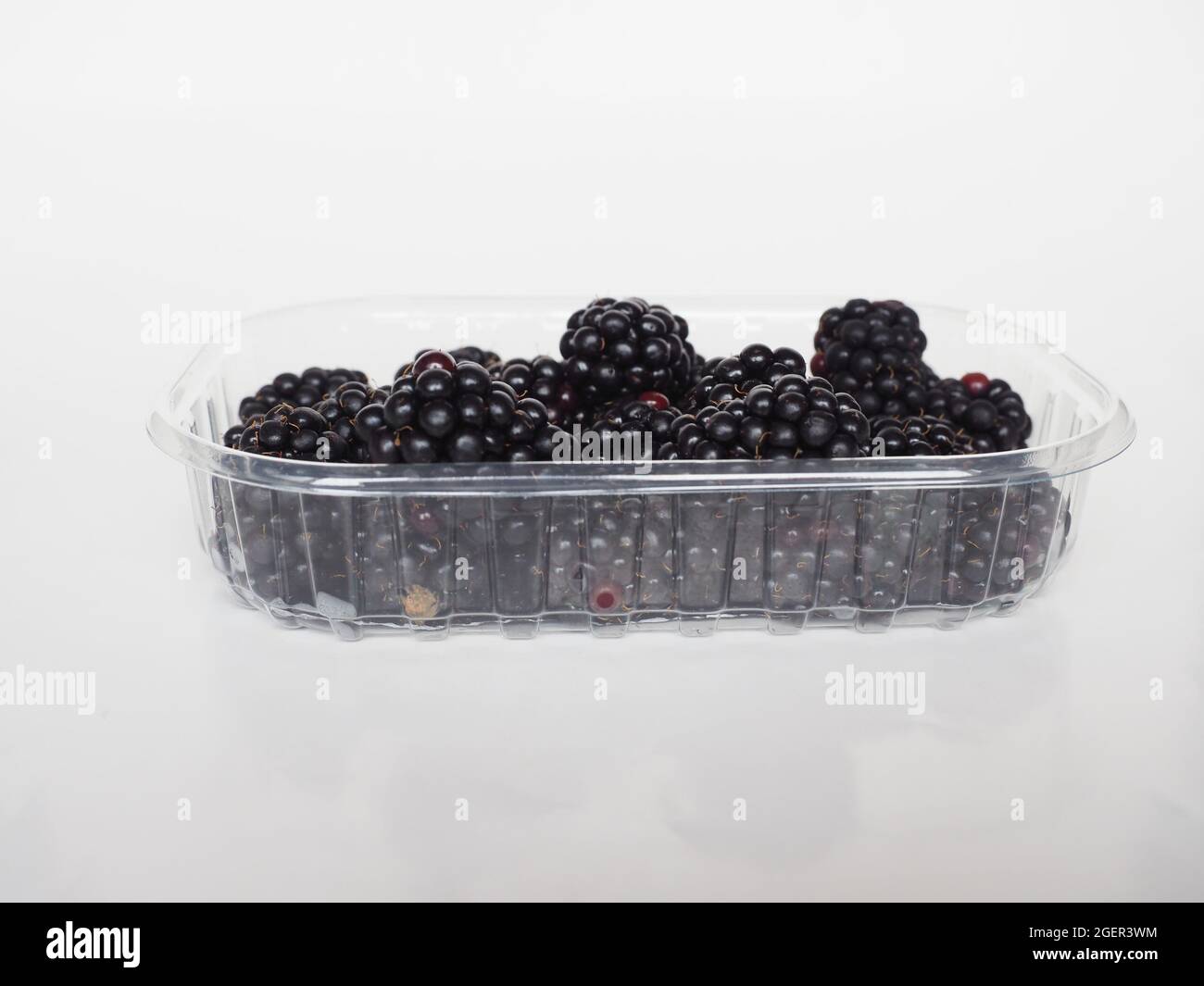blackberry fruits in a takeaway plastic box Stock Photo - Alamy