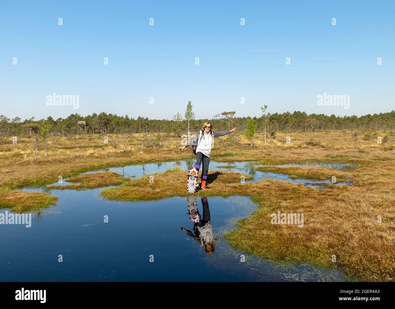 beautiful swamp landscape with blue sky and water, woman enjoys swamp ...