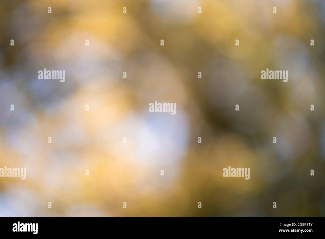 Out of focus design hi-res stock photography and images - Alamy