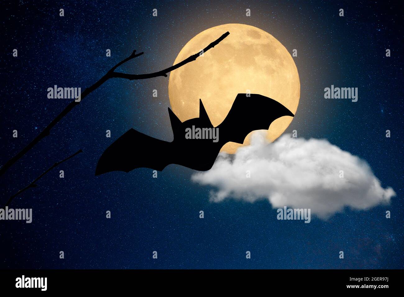 full blue spooky moon in the night sky, Halloween spooky background ...