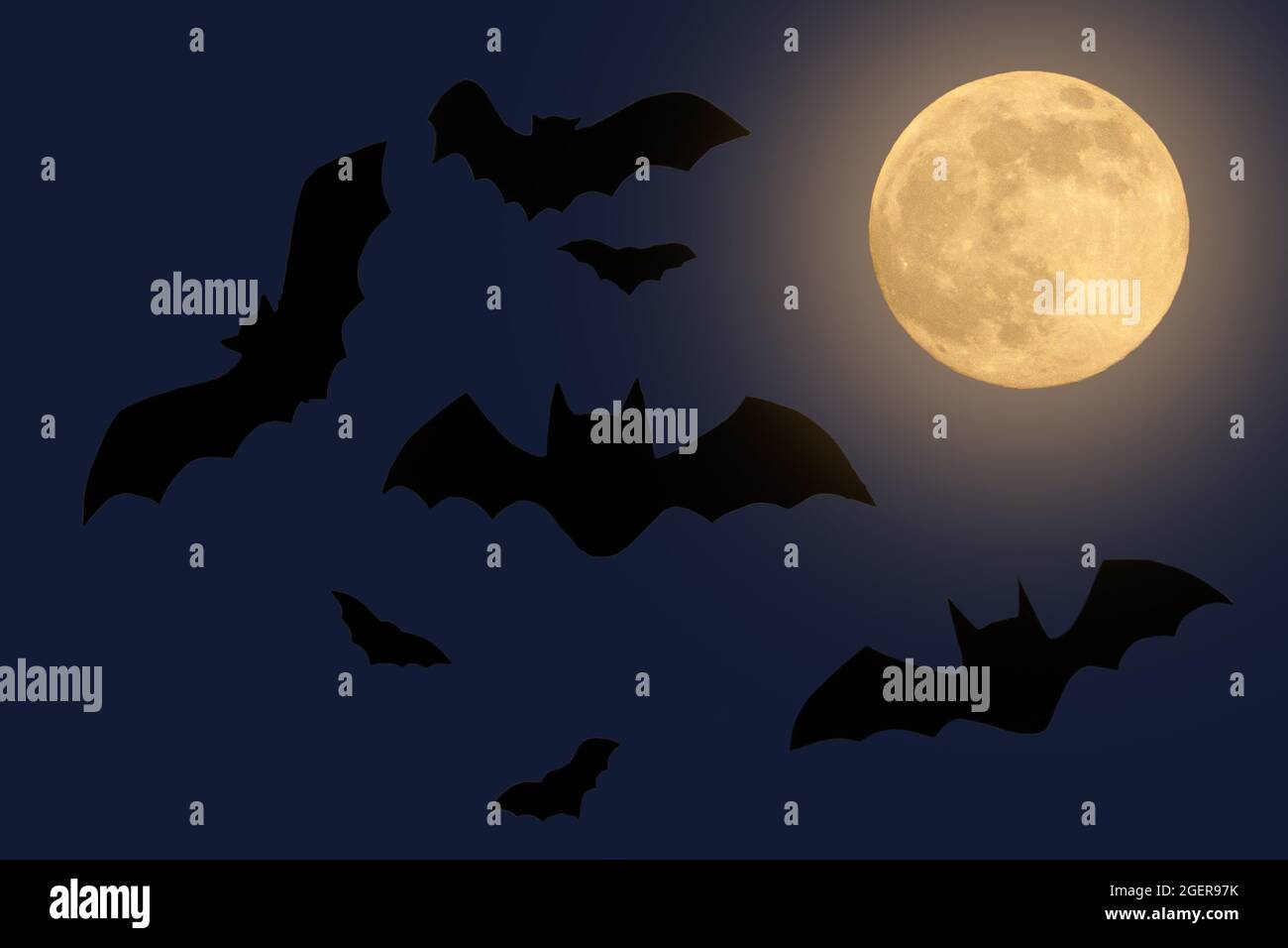 full blue spooky moon in the night sky, Halloween spooky background ...