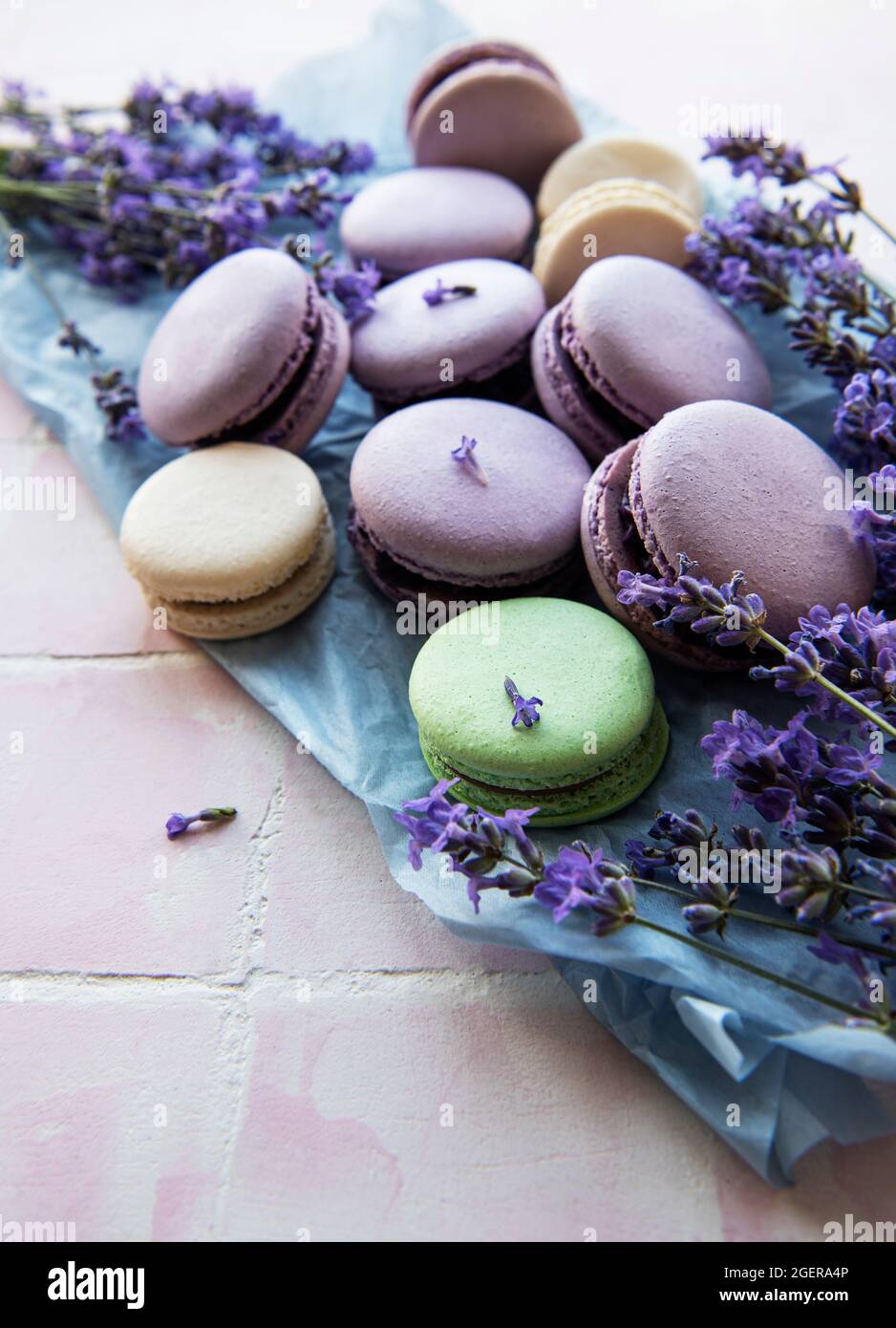 French macarons with lavender flavor and fresh lavender flowers on a ...