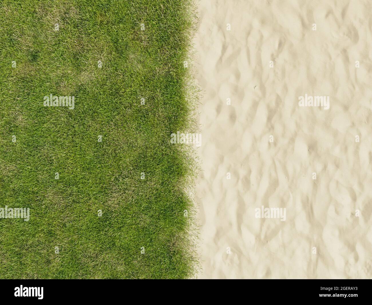 background with one half beach sand and the other half green grass. 3d ...