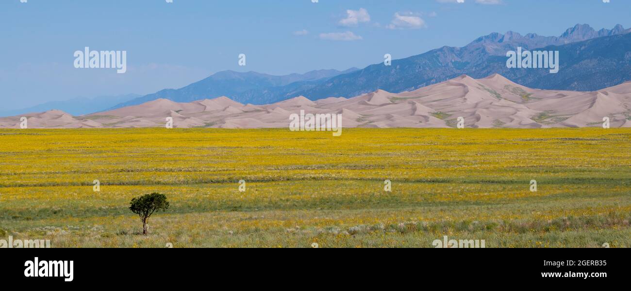 Colorado, San Luis Valley, Great Sand Dunes National Park. Fields of ...