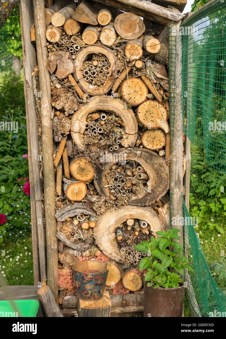 wonderful insect house for different insects of different shapes, sizes ...
