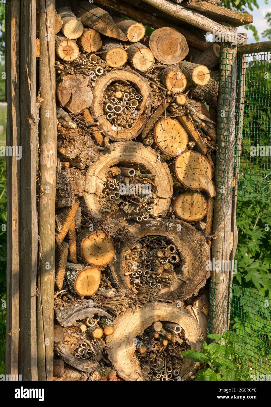 wonderful insect house for different insects of different shapes, sizes ...