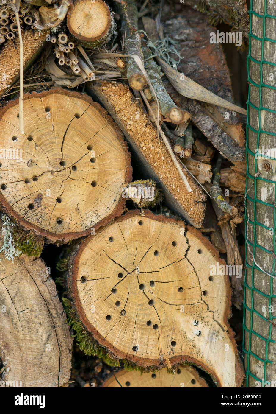 wonderful insect house for different insects of different shapes, sizes ...