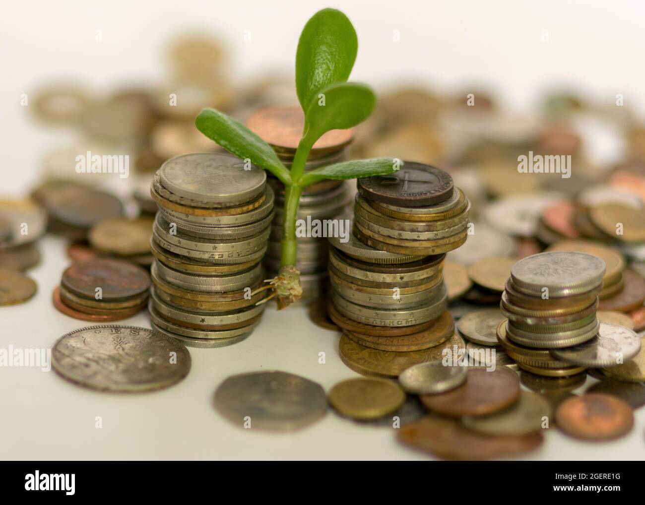 old metal coins of various shapes, countries and values, green money ...