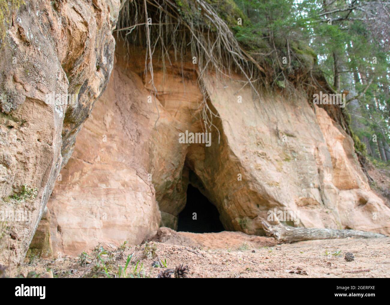 spring landscape with sandstone outcrops by a small wild river ...