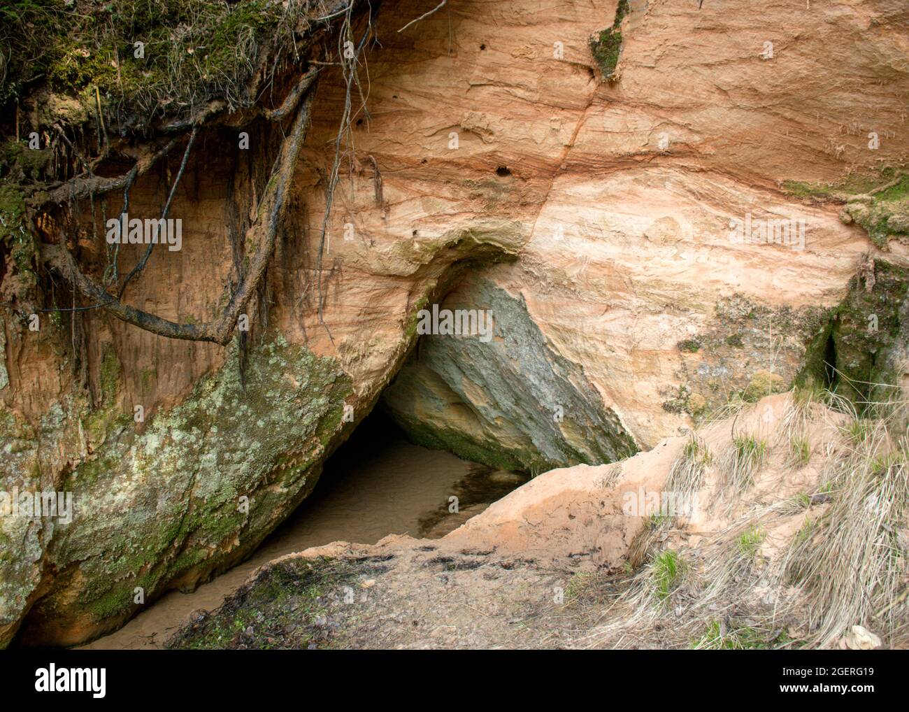 spring landscape with sandstone outcrops by a small wild river ...