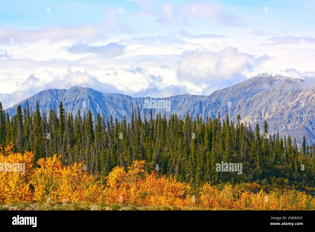 Yukon mountains and fall colors , Canada Stock Photo - Alamy