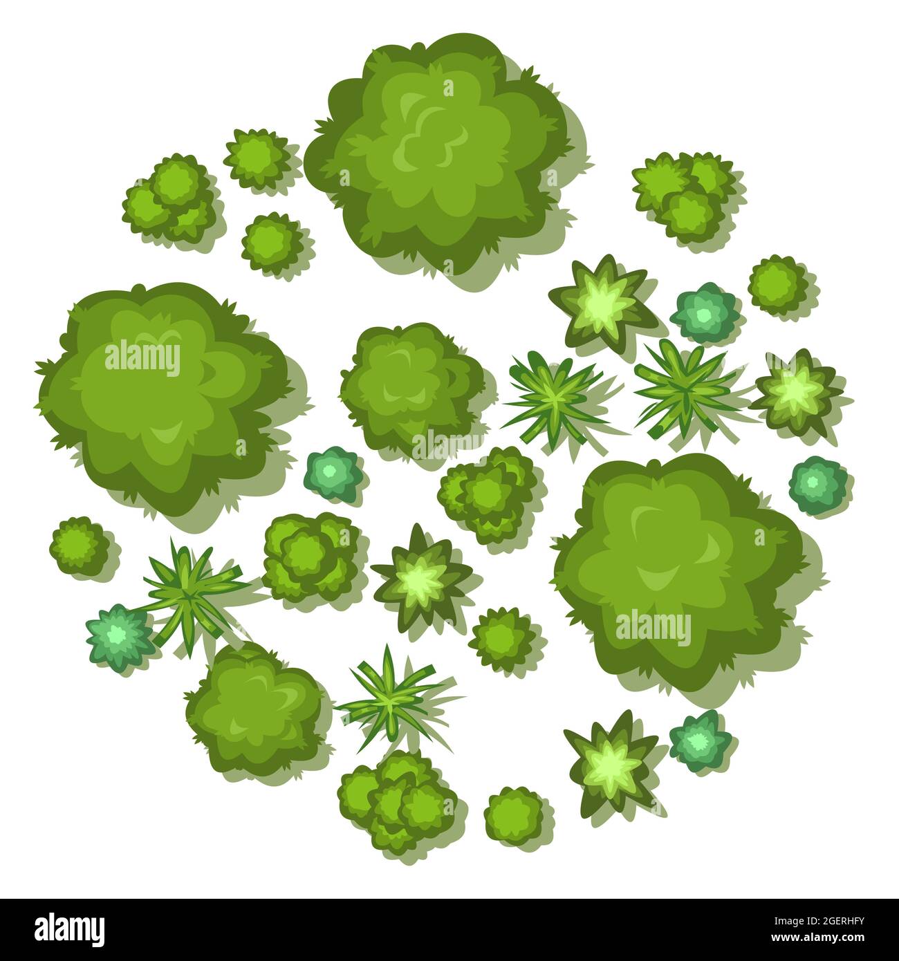 Small forest with height. Park with trees. View from above. Plant ...
