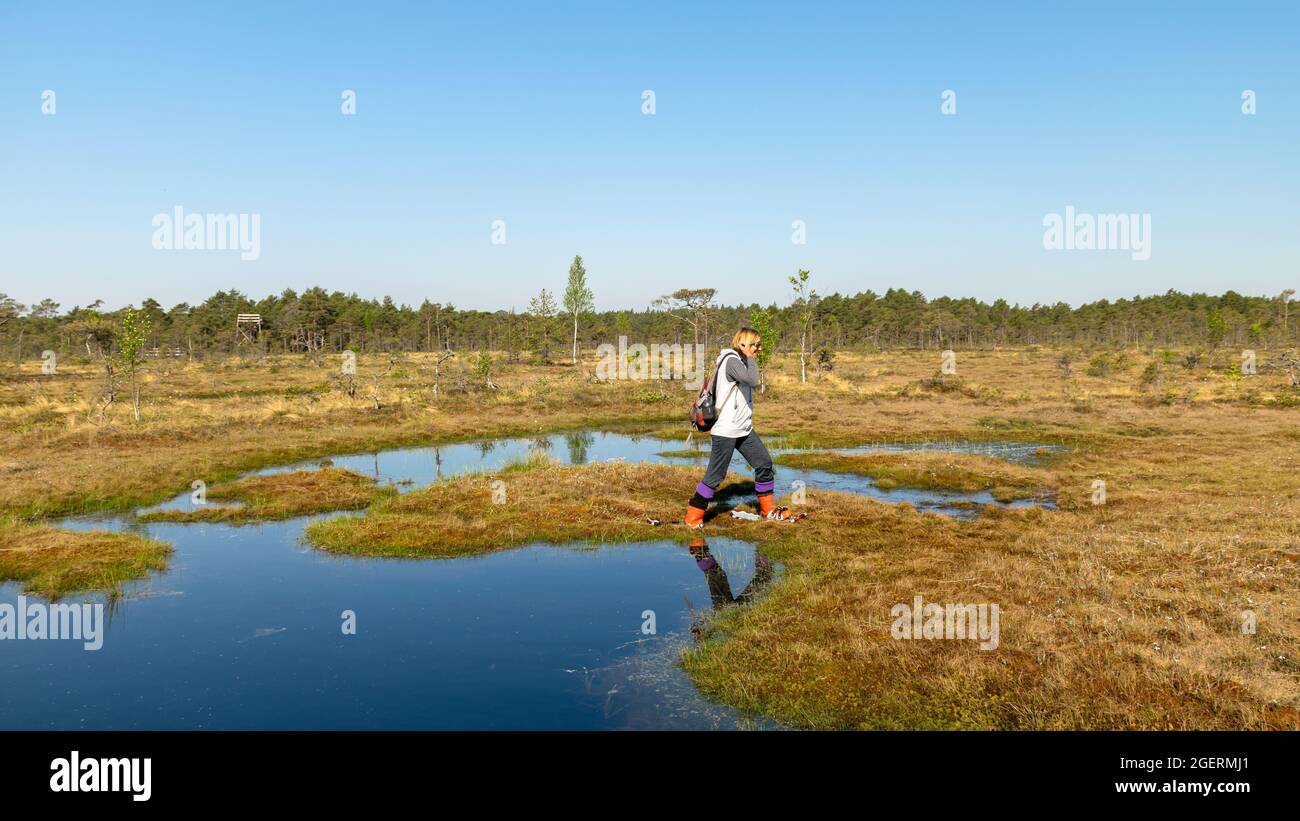 beautiful swamp landscape with blue sky and water, woman enjoys swamp ...