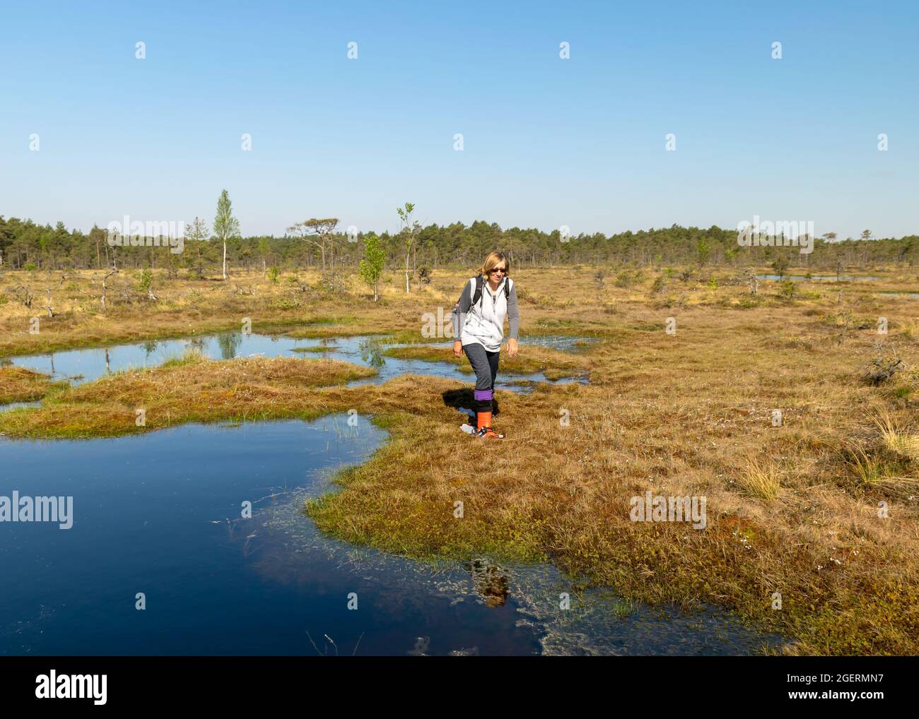 beautiful swamp landscape with blue sky and water, woman enjoys swamp ...