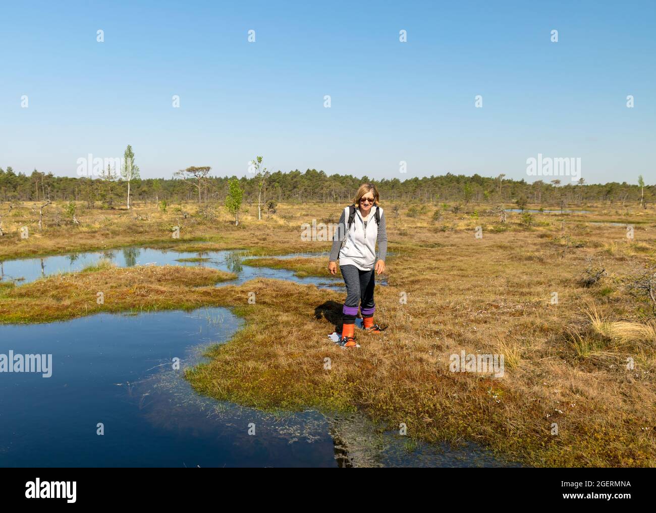 beautiful swamp landscape with blue sky and water, woman enjoys swamp ...