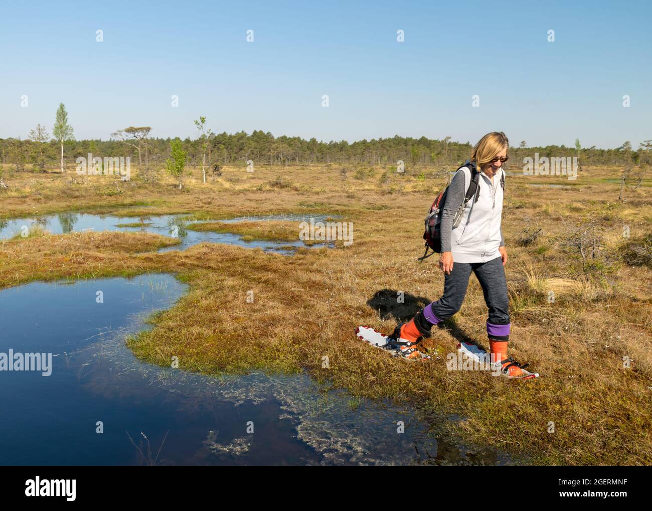 beautiful swamp landscape with blue sky and water, woman enjoys swamp ...