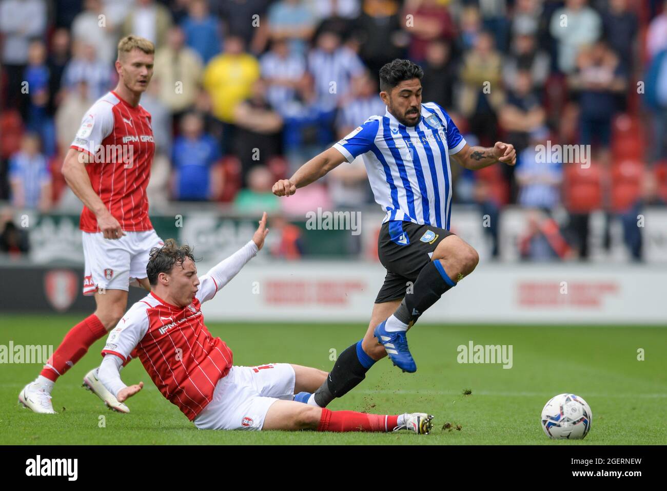 Massimo Luongo #21 of Sheffield Wednesday starts an attacking move ...