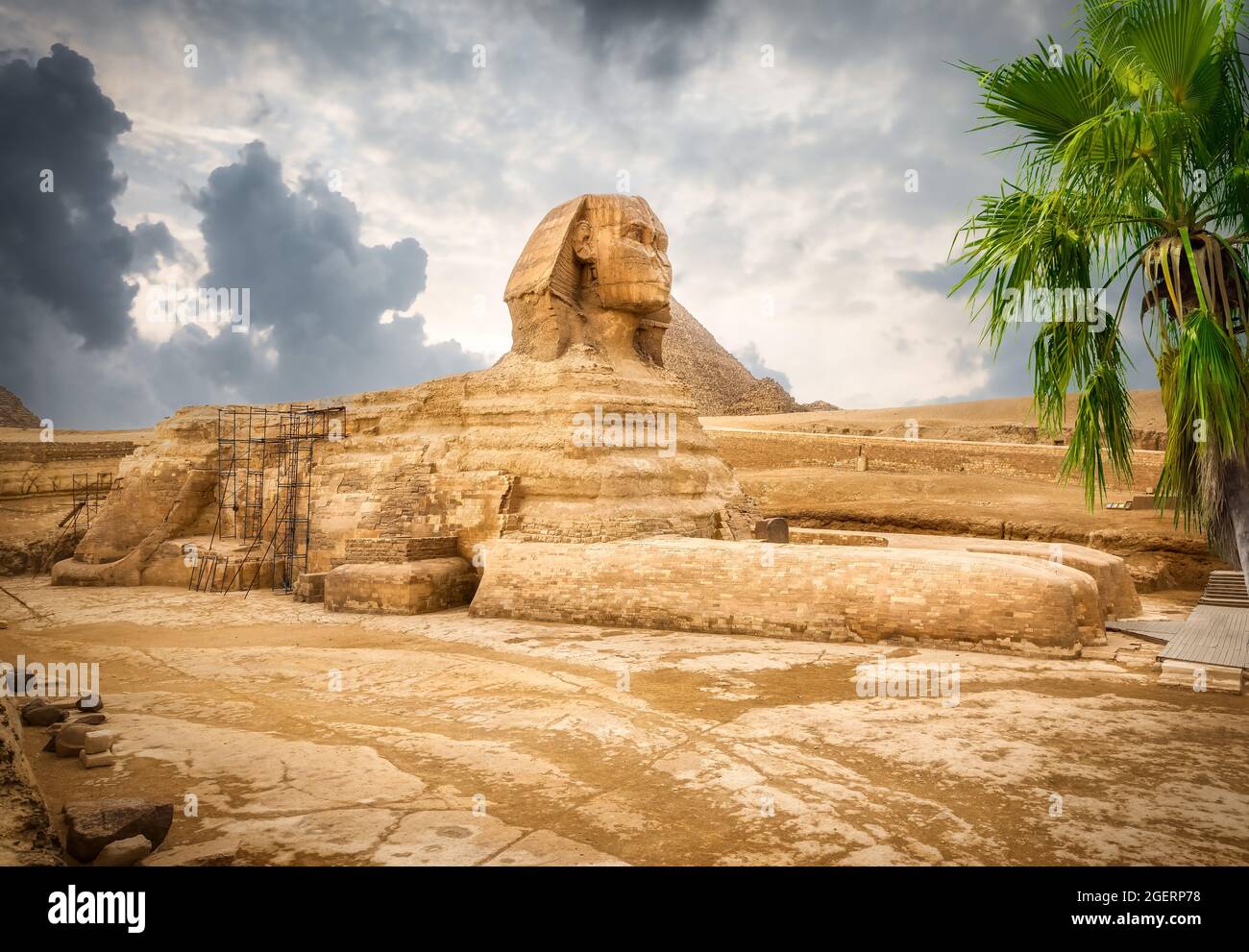 Great Sphinx in egyptian desert at foggy sunrise Stock Photo - Alamy