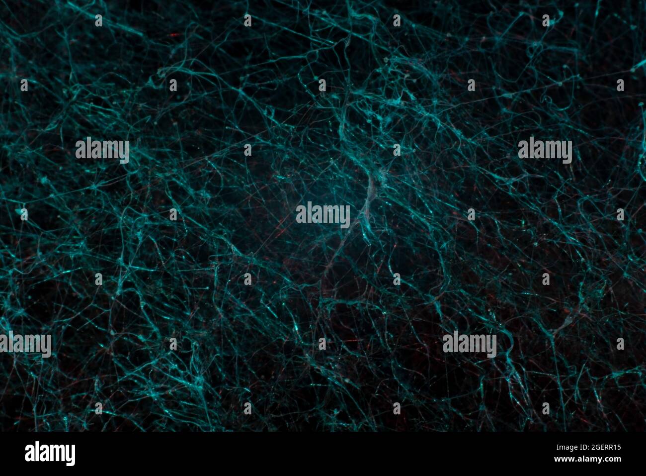 turquoise abstract background texture. A closeup of mold, crystals and ...
