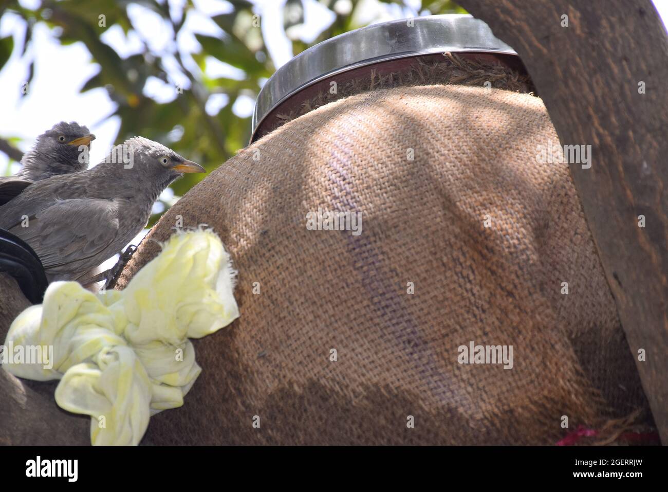 Clay water pot africa hi-res stock photography and images - Alamy