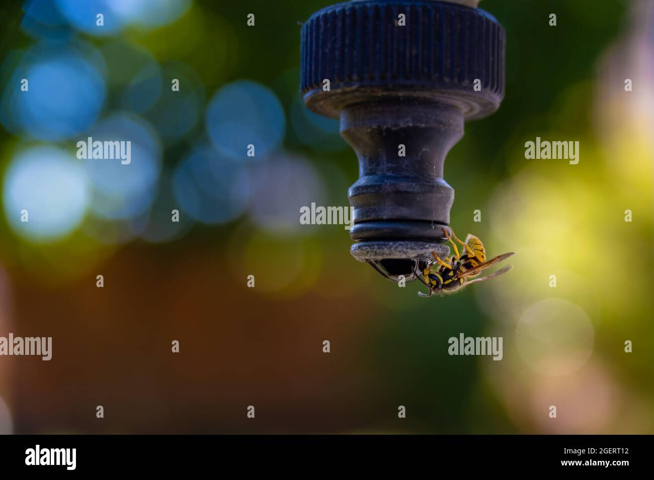 No water from tap hi-res stock photography and images - Alamy