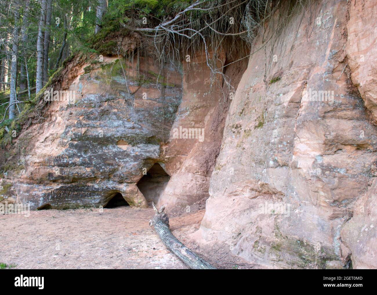 spring landscape with sandstone outcrops by a small wild river ...