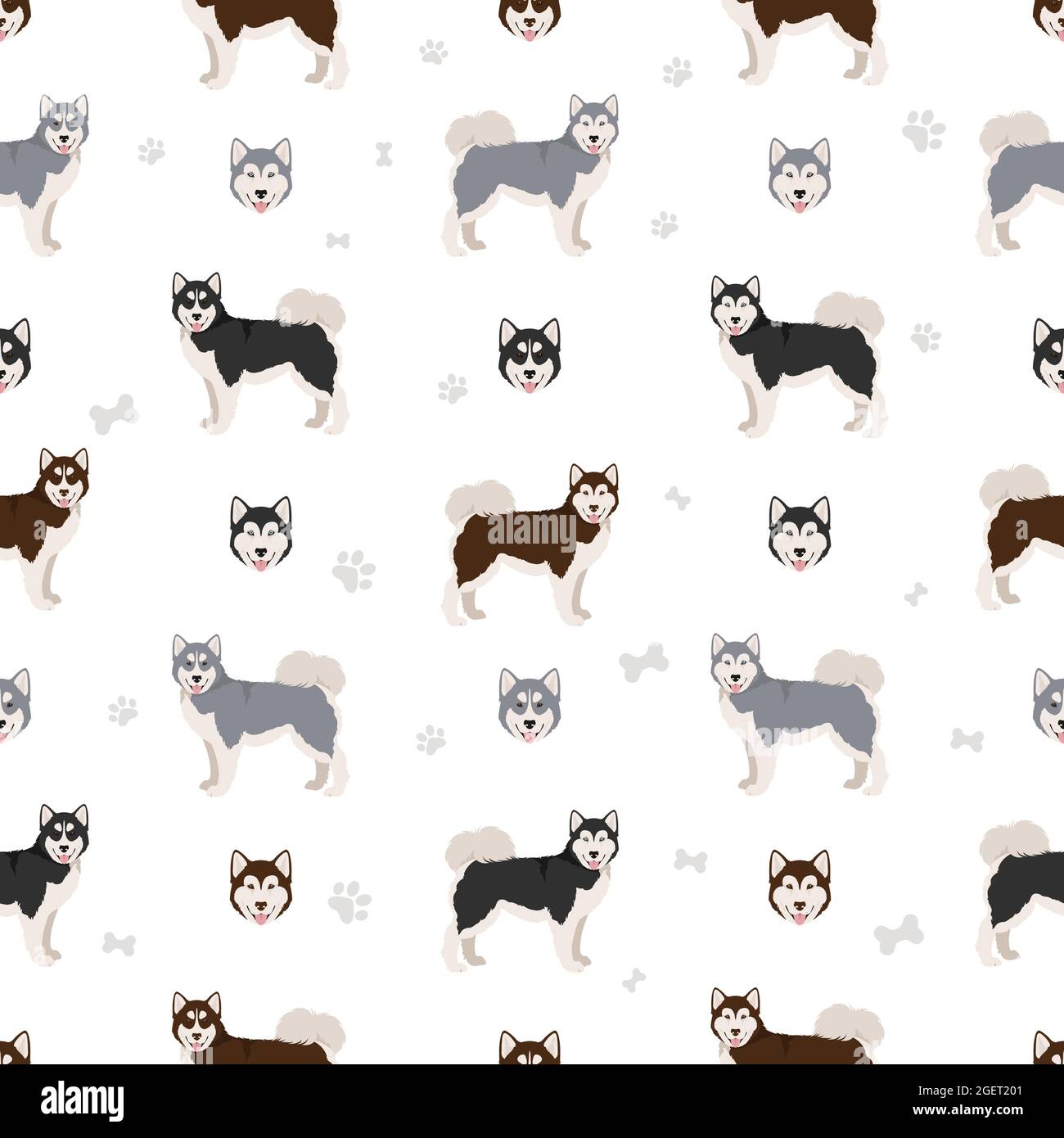 Canadian Eskimo dog seamless pattern. Different poses, coat colors set ...