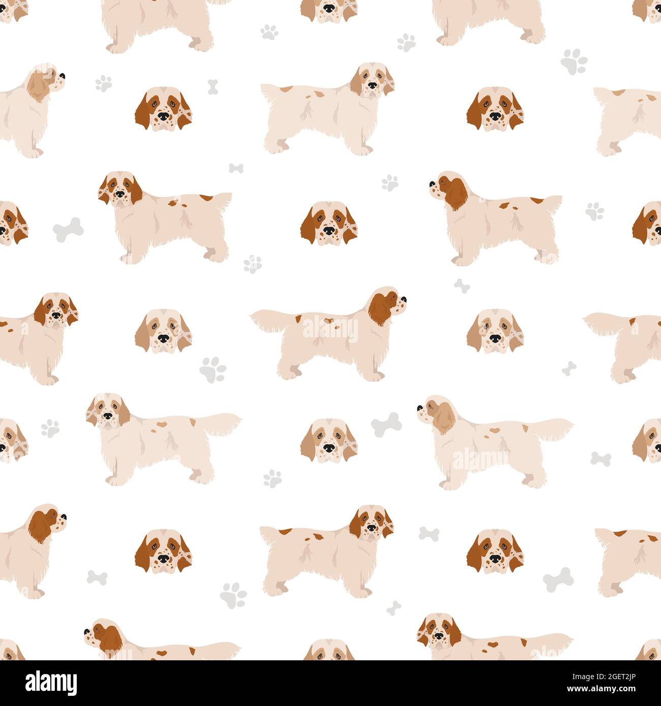 Spaniels Stock Vector Images - Alamy