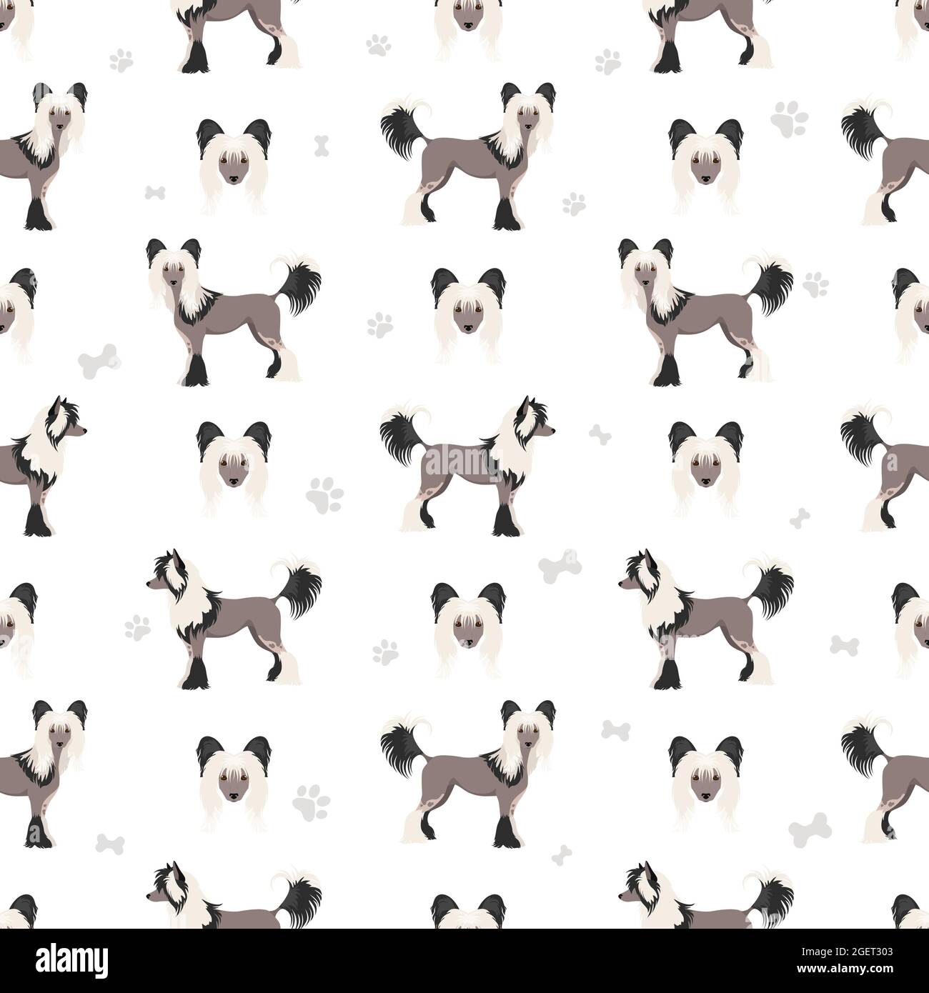 Chinese crested dog hairless variety seamless pattern. Different poses ...