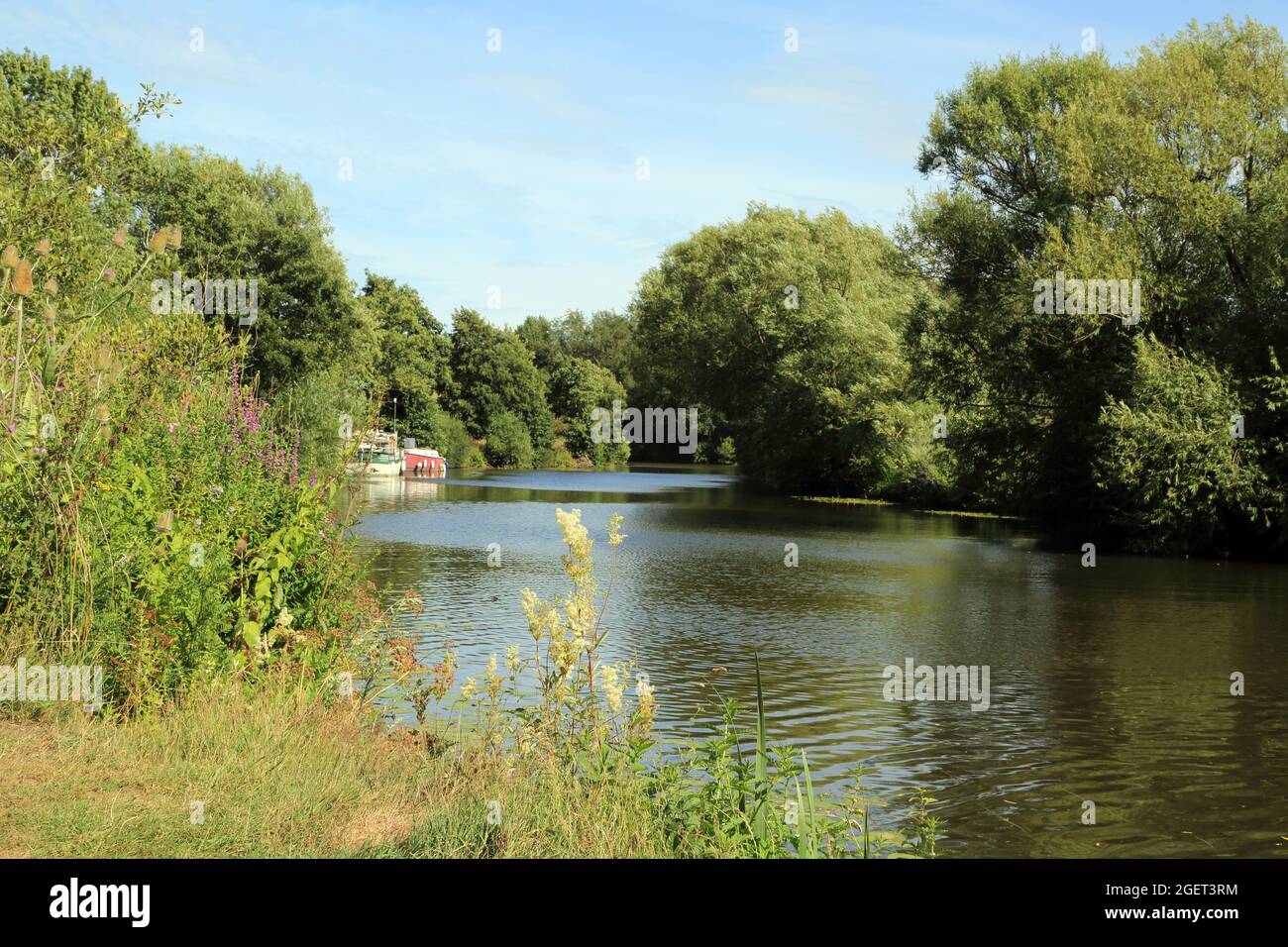 View of Medway river from tow path between Teston and Wateringbury ...