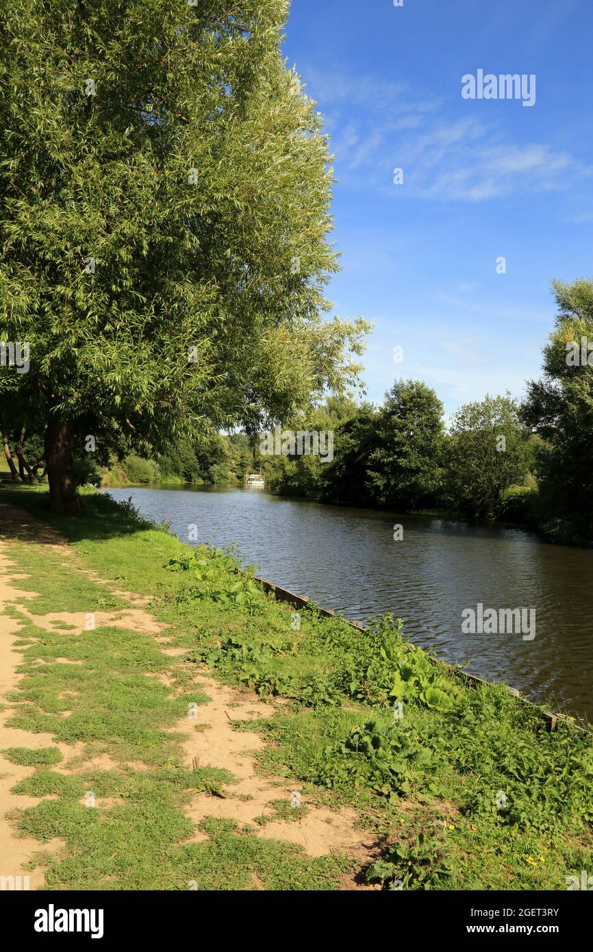 View of Medway river from tow path between Teston and Wateringbury ...