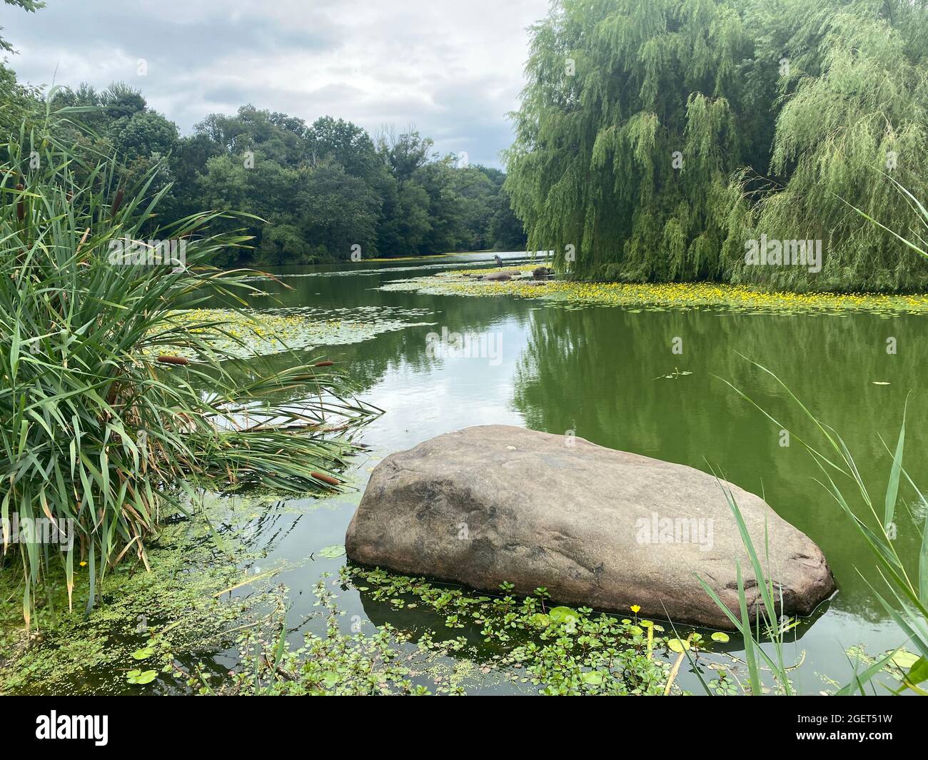 Calming natural view near Lefrak Center at Lakeside in Prospect Park ...