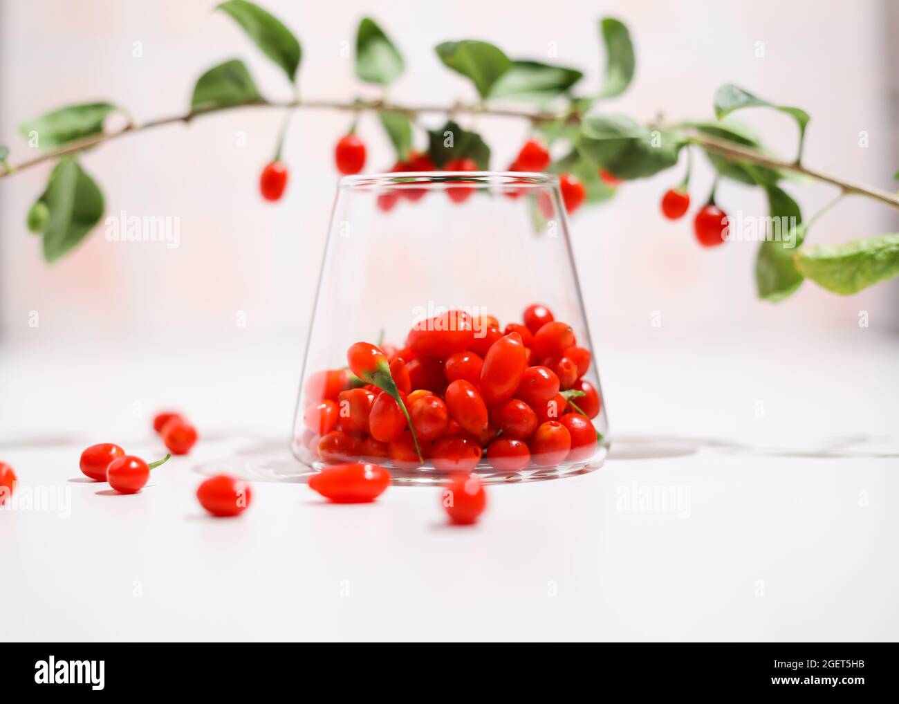 Fresh Goji berries in transparent glass. Healthy antiage superfood ...