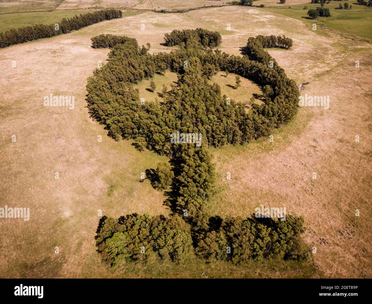 Trident like hi-res stock photography and images - Alamy