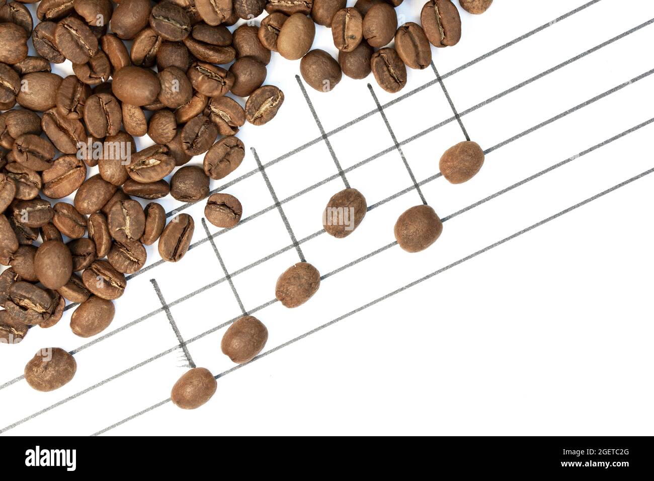 coffee grains lined up like musical notes on a white background Stock ...