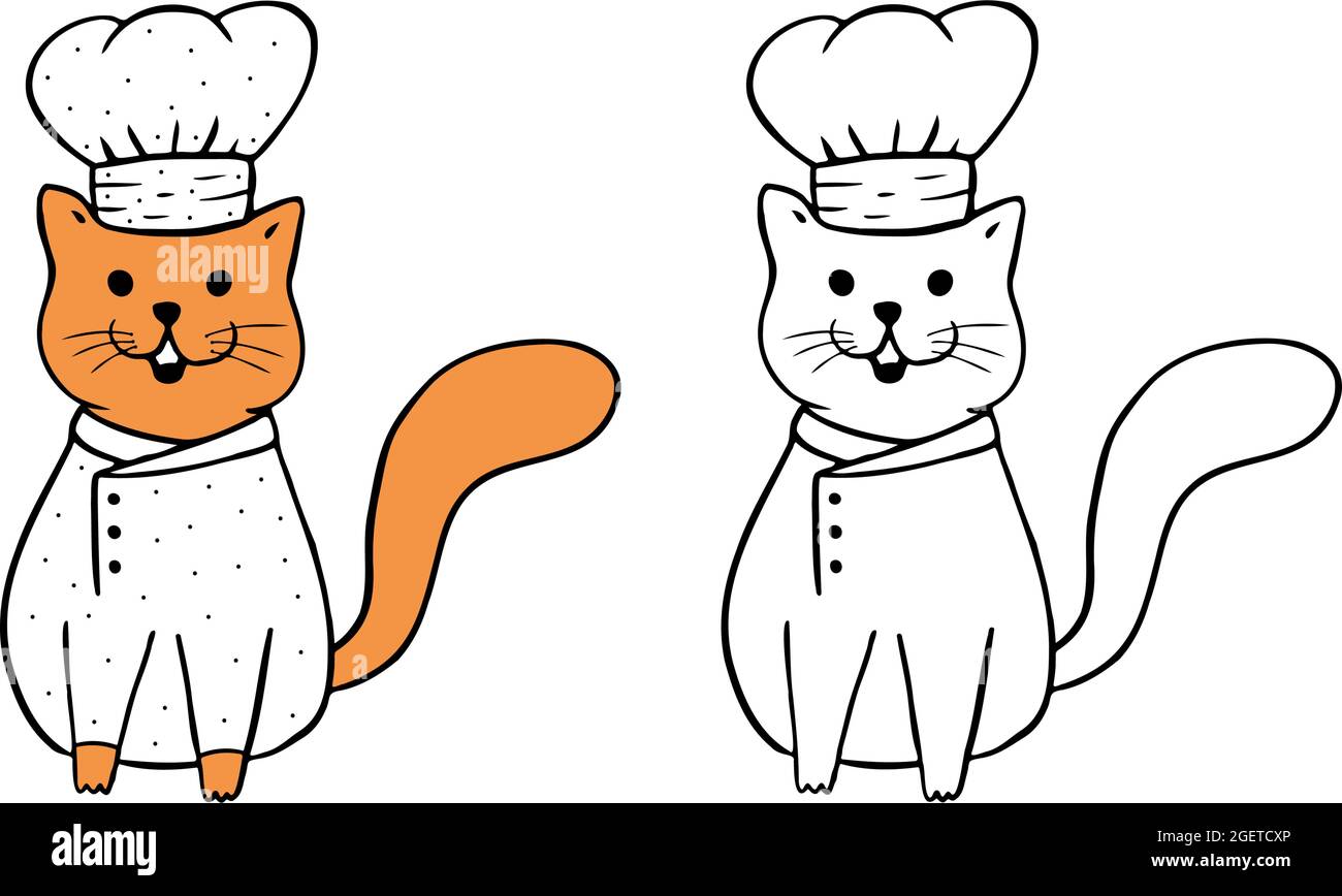Cute orange cat chef, funny cat in chef's uniform and hat isolated on ...