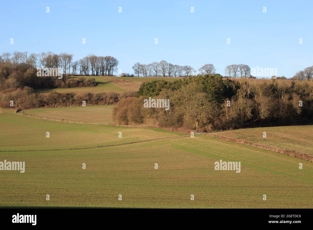 Coombe manor hi-res stock photography and images - Alamy