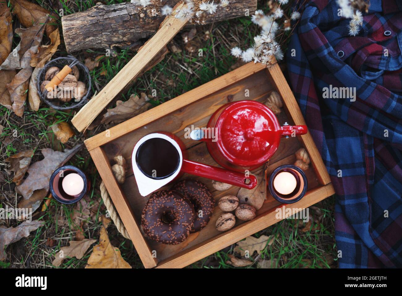 picnic in the forest. tea and donuts. fall and relax, still life Stock ...