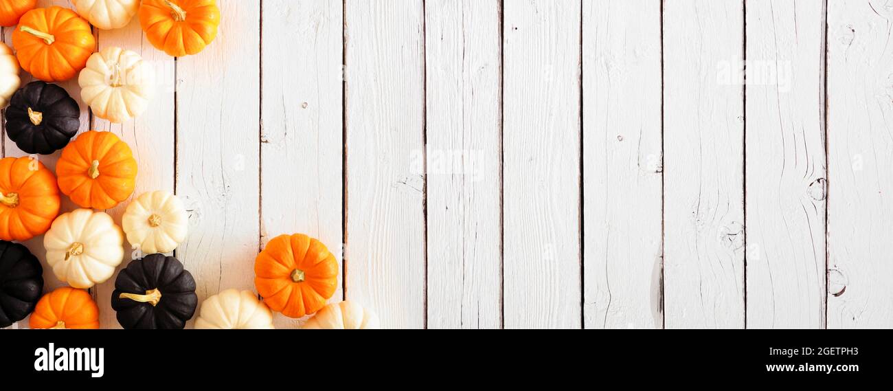 Pumpkin Black And White Border