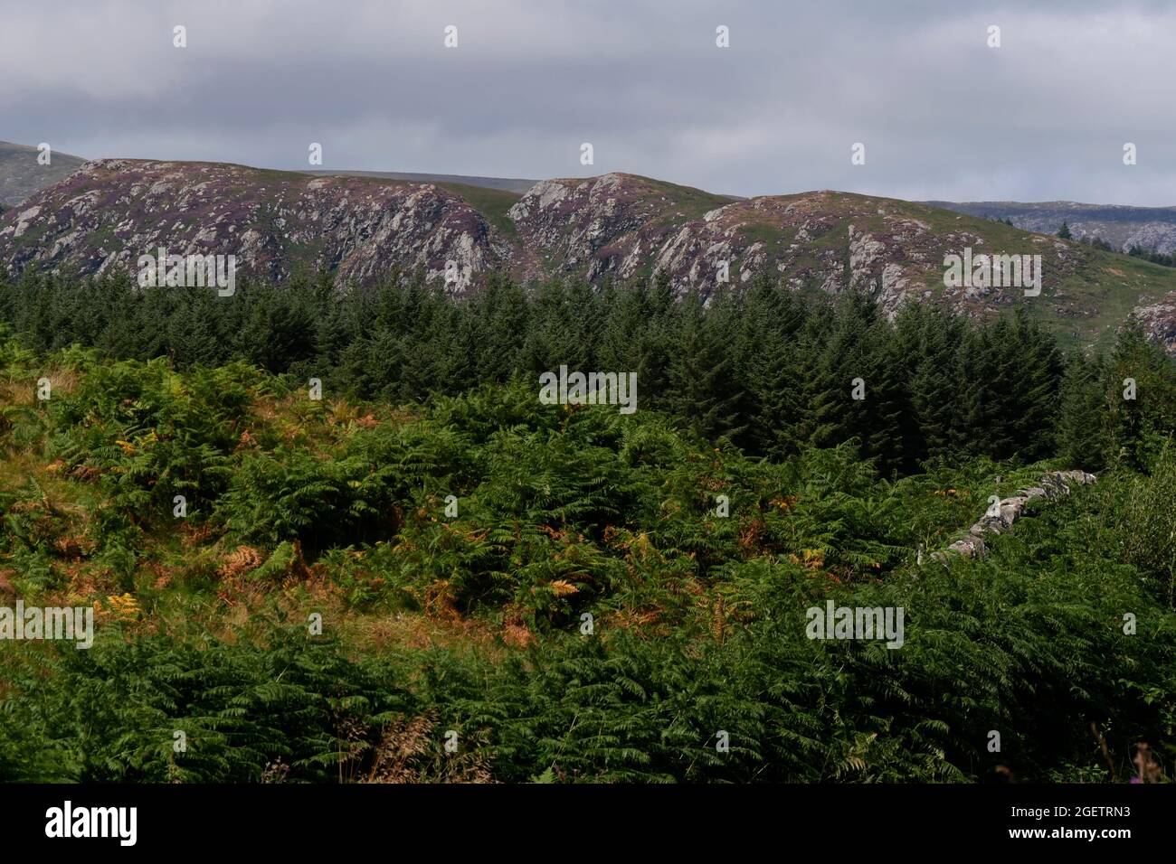 beautiful countryside in Dunfries and Galloway Stock Photo - Alamy
