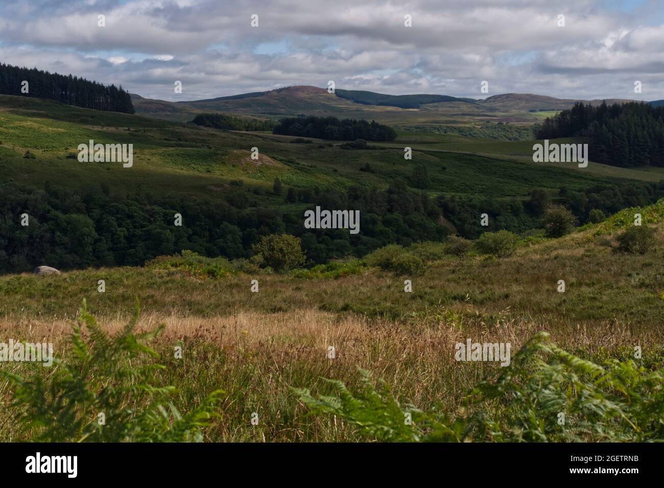 beautiful countryside in Dumfries and Galloway Stock Photo - Alamy