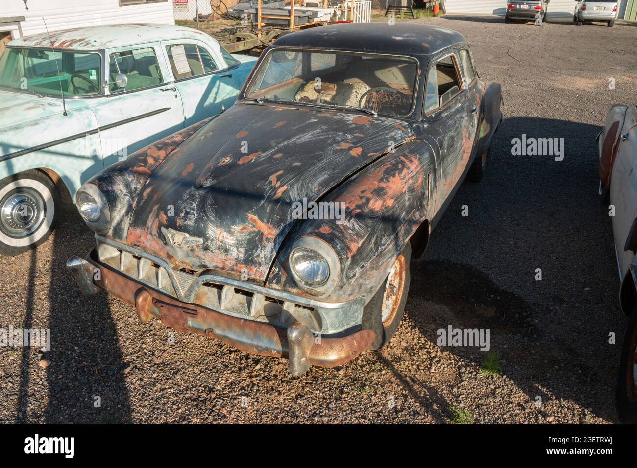 1952 vintage Studebaker Commander American car in a desert junk yard ...