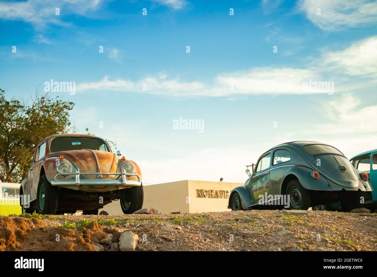 two classic VW Volkswagen Beetles in the desert near Kingman Arizona ...