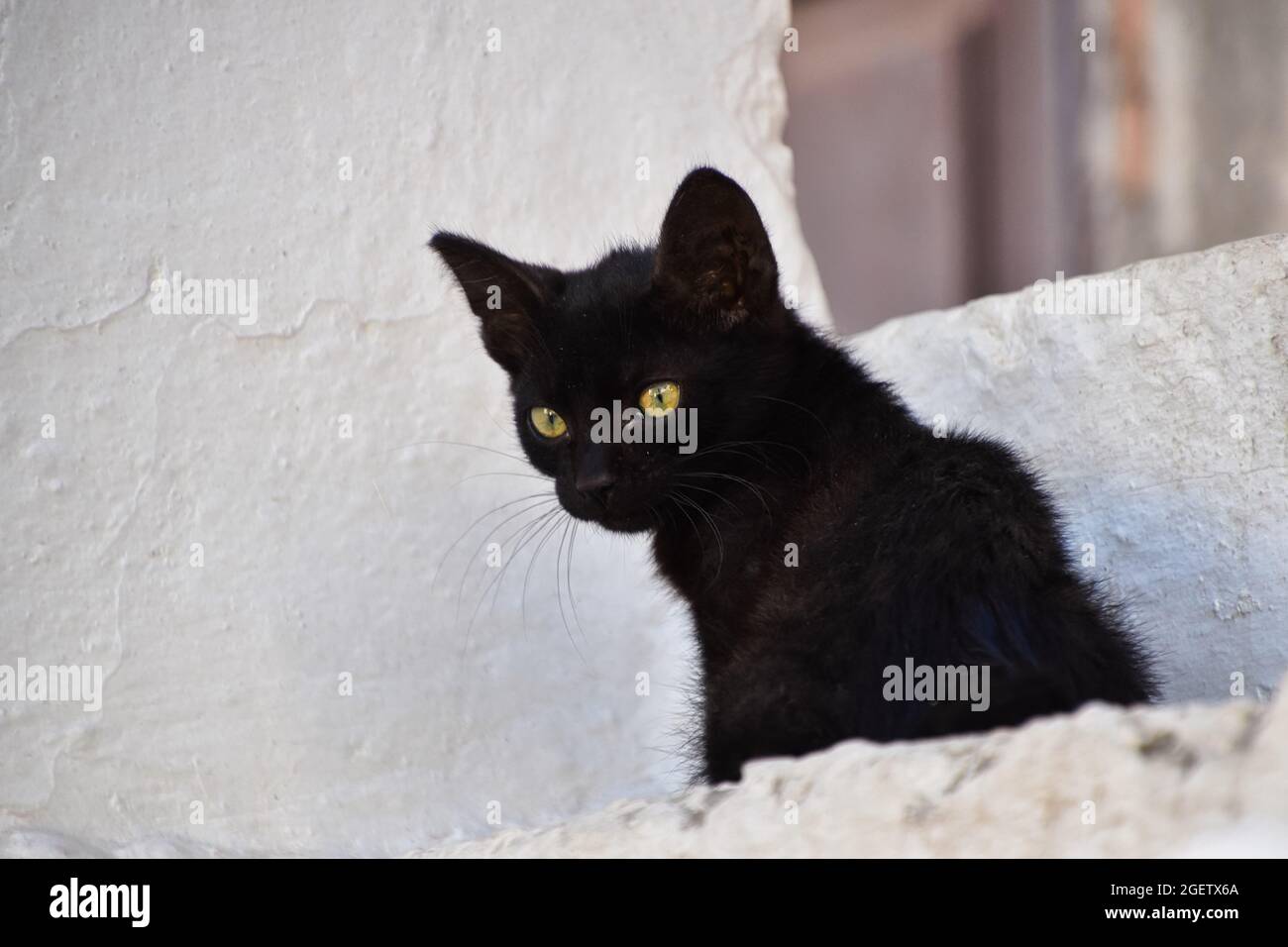 A black stray cat on white stairs in Crete, Greece, Europe Stock Photo ...
