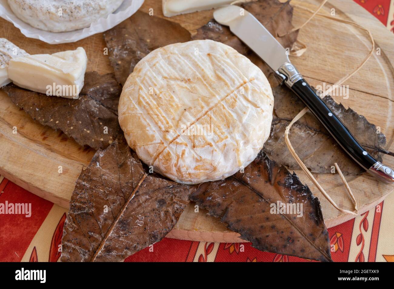 Tastes of Provence, ancient small goat cheese Banon a la feuille ...